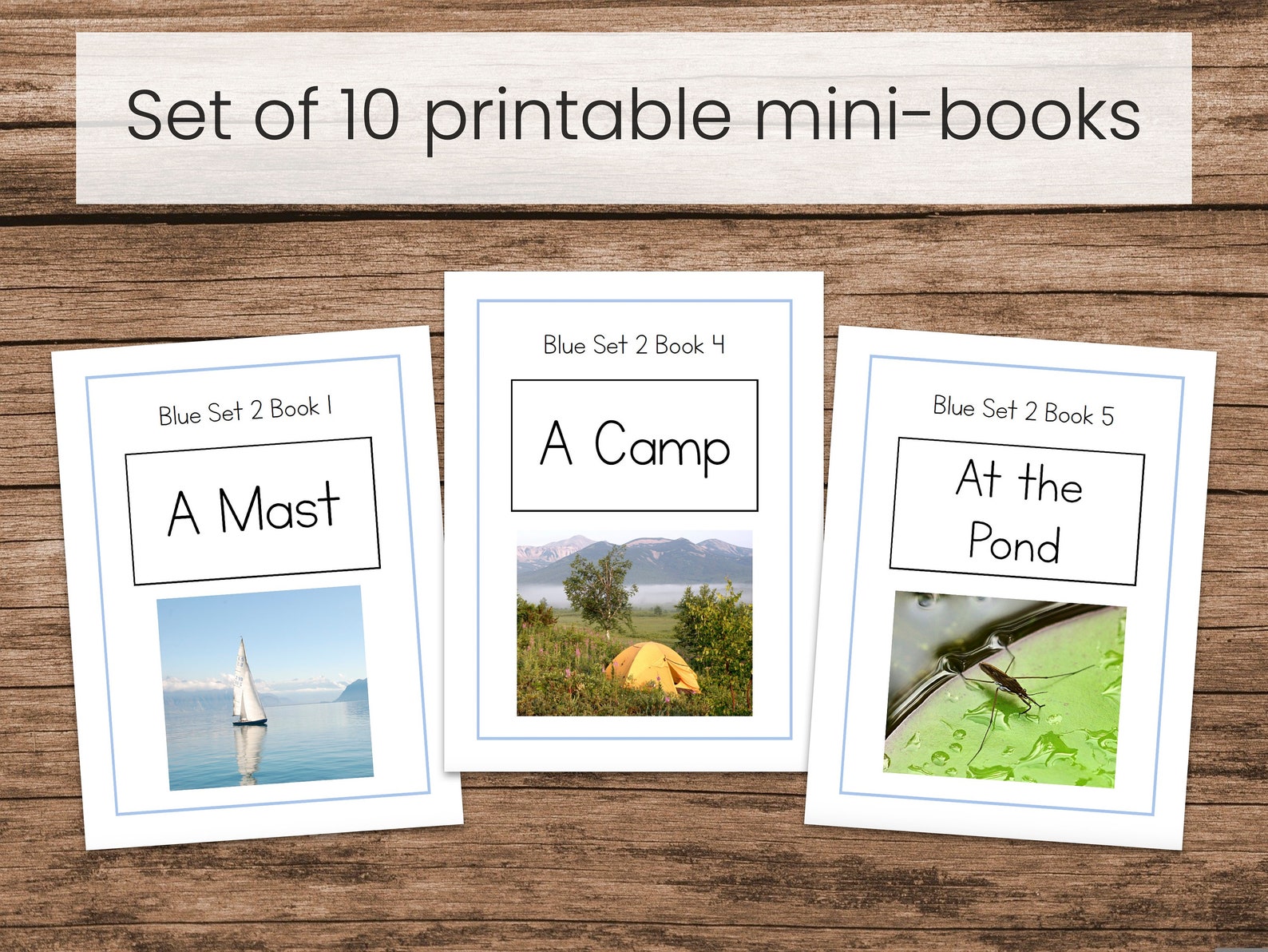 Blue Series Readers Set 2 (montessori Phonics Books, Consonant Blends ...