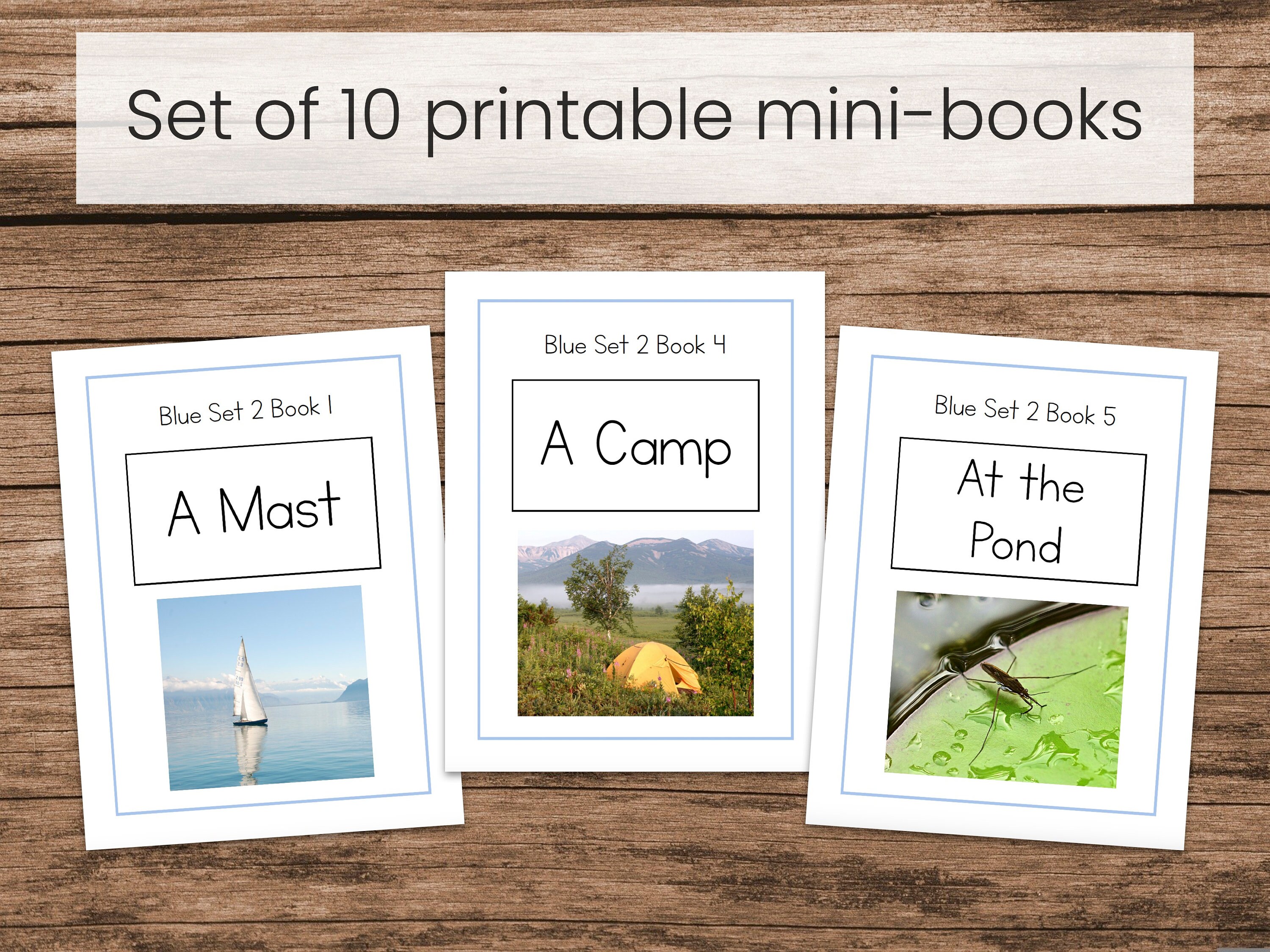 Blue Series Readers Set 2 (montessori Phonics Books, Consonant Blends ...