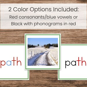 Winter Montessori Green Series Reading Cards (picture and Word Matching ...