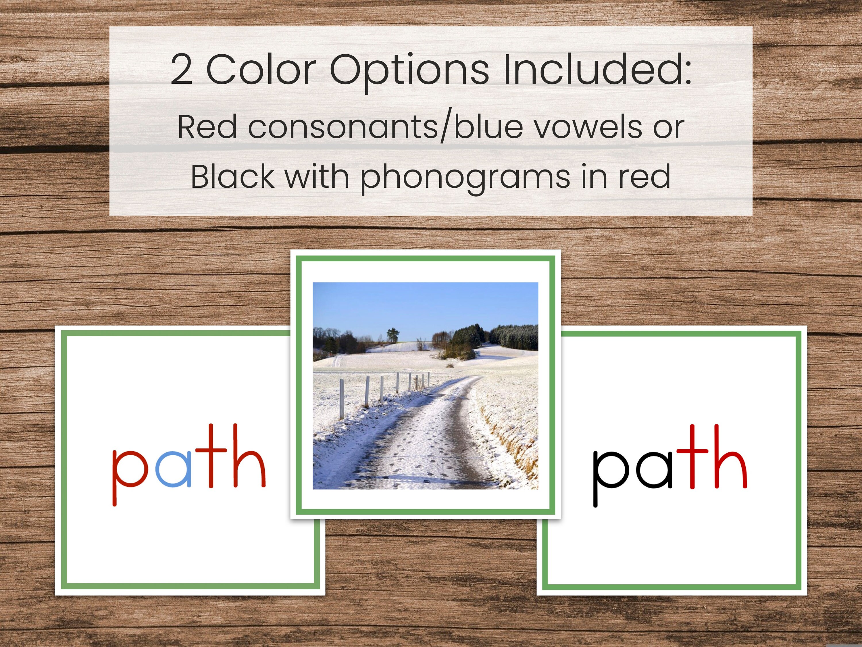 Winter Montessori Green Series Reading Cards (picture and Word Matching ...