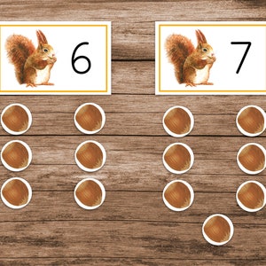 Fall Squirrels Number and Counting Cards Activity (montessori Preschool ...