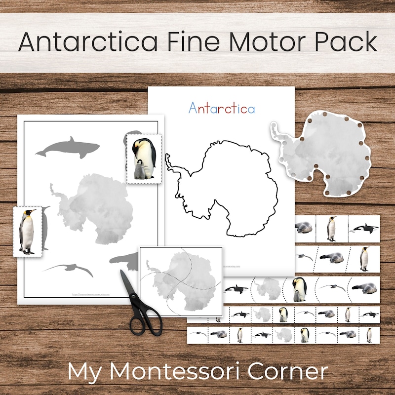 Antarctica Montessori - Etsy UK