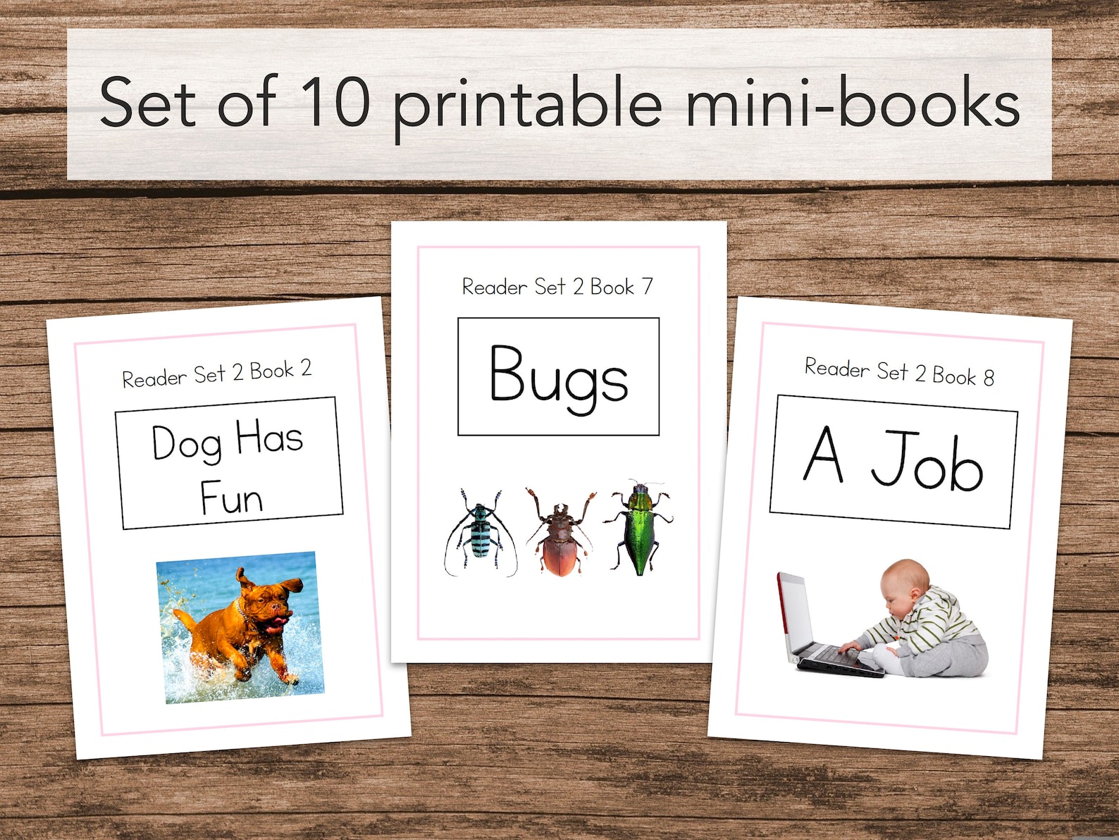 Montessori Pink Series Readers Set 2 decodable CVC Phonetic - Etsy