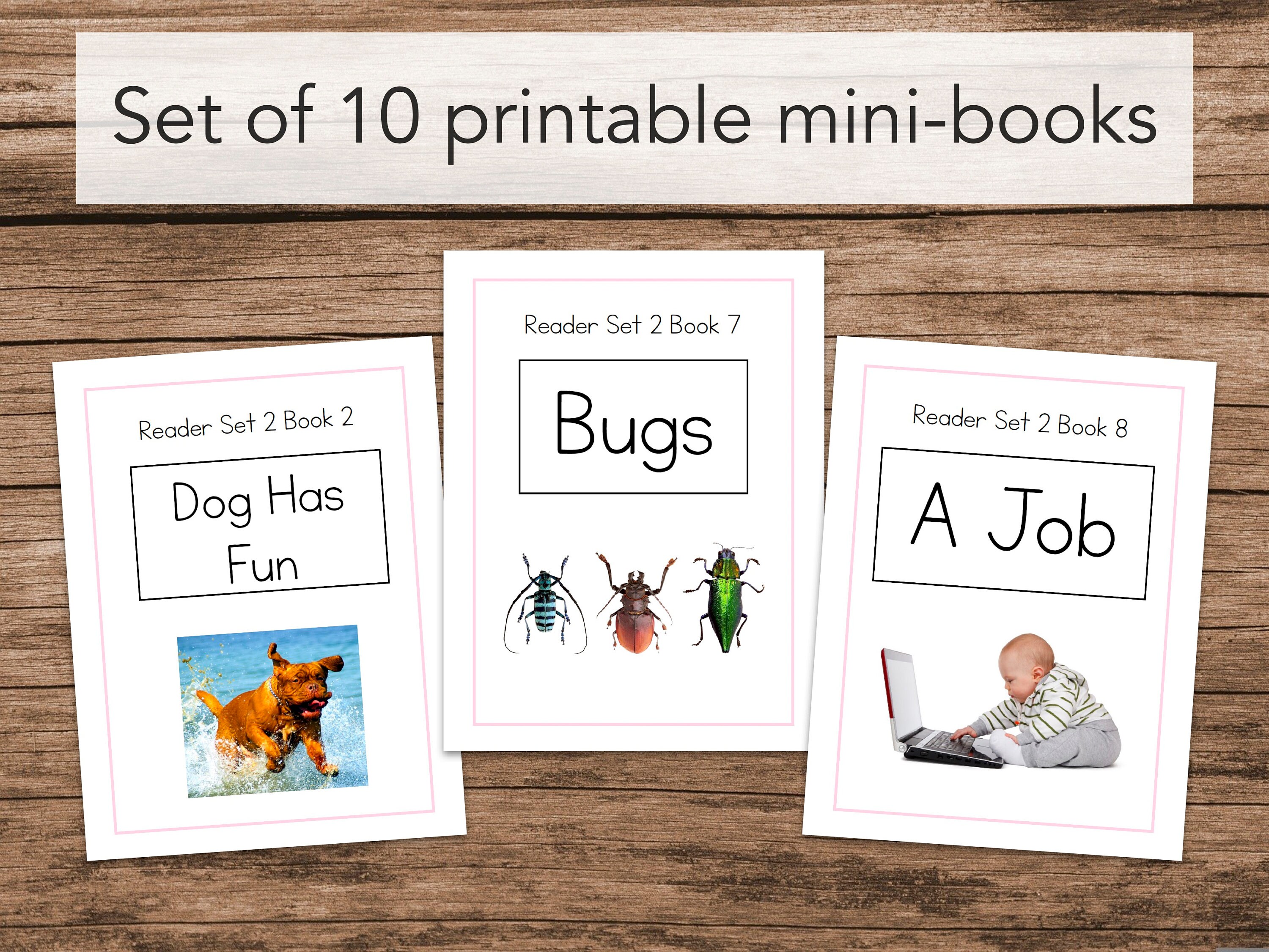 Montessori Pink Series Readers Set 2 decodable CVC Phonetic - Etsy