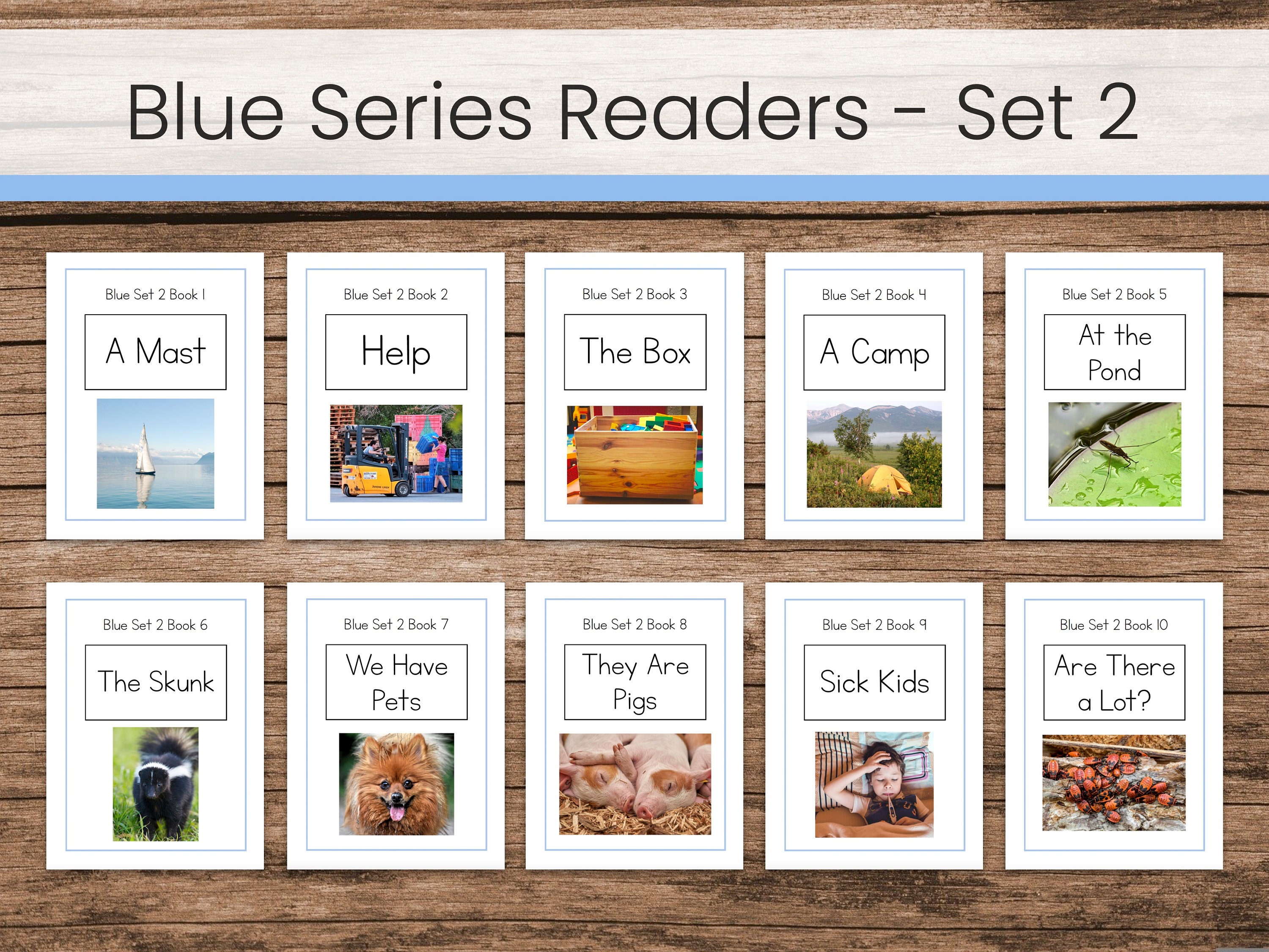 Blue Series Readers Set 2 montessori Phonics Books Consonant - Etsy