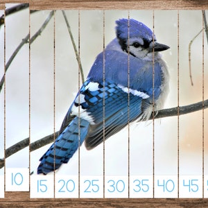 Winter Birds Skip Counting Puzzles (montessori Math Printable) - Etsy