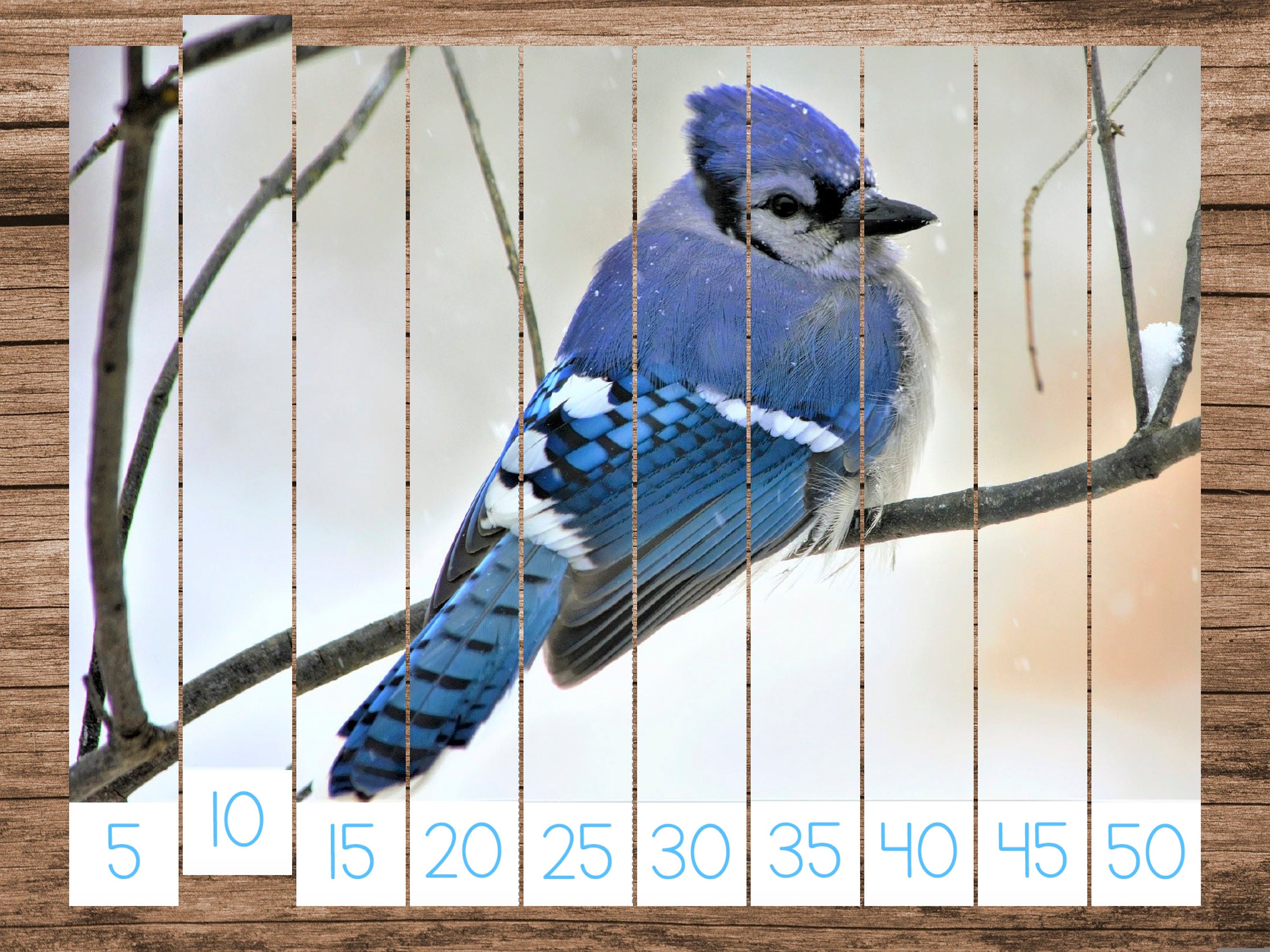 Winter Birds Skip Counting Puzzles montessori Math Printable - Etsy