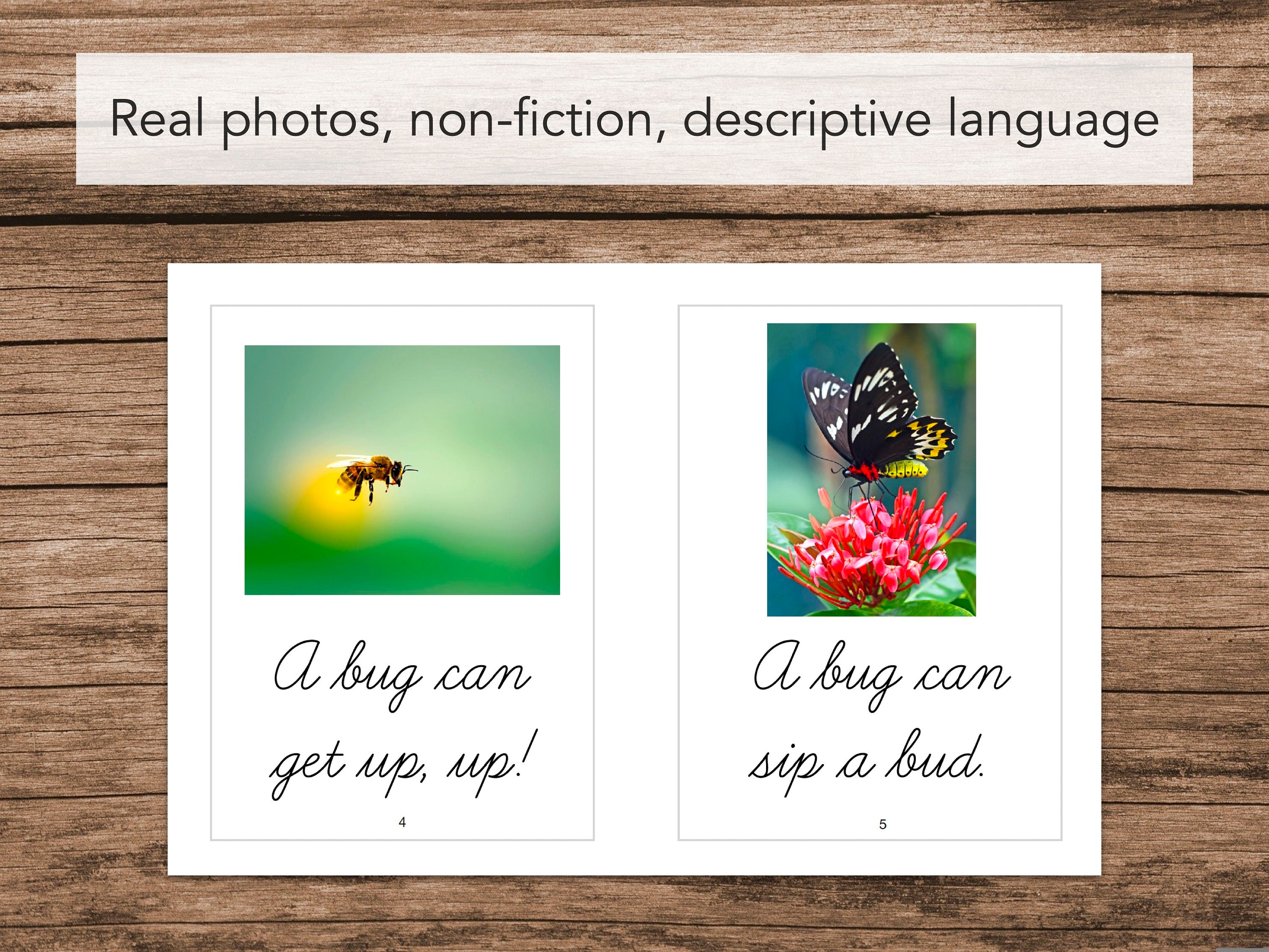 CURSIVE Pink Series Readers Set 2 (montessori CVC Reading Books) - Etsy