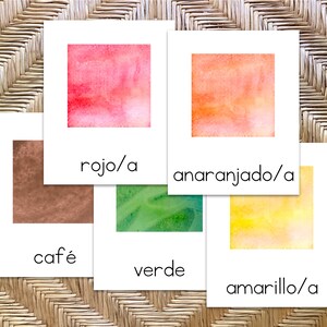 SPANISH Fall Colors Activity (montessori Sorting Cards) - Etsy