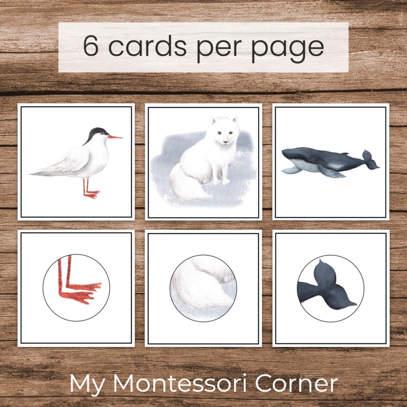 Arctic Animals I Spy Part-to-whole Matching Cards, Montessori Preschool ...