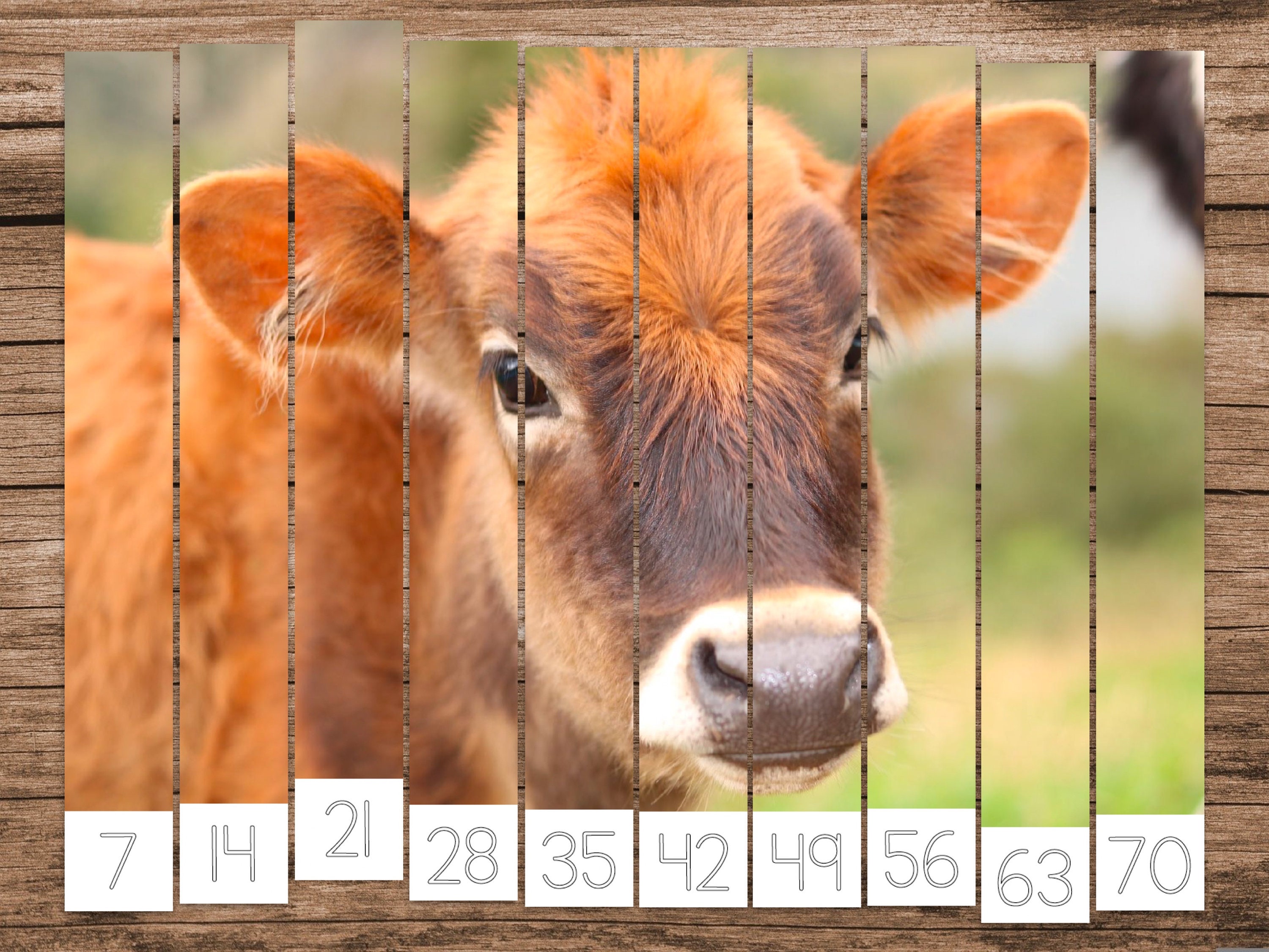 Animal Babies Spring Skip Counting Puzzles montessori Math Printable - Etsy