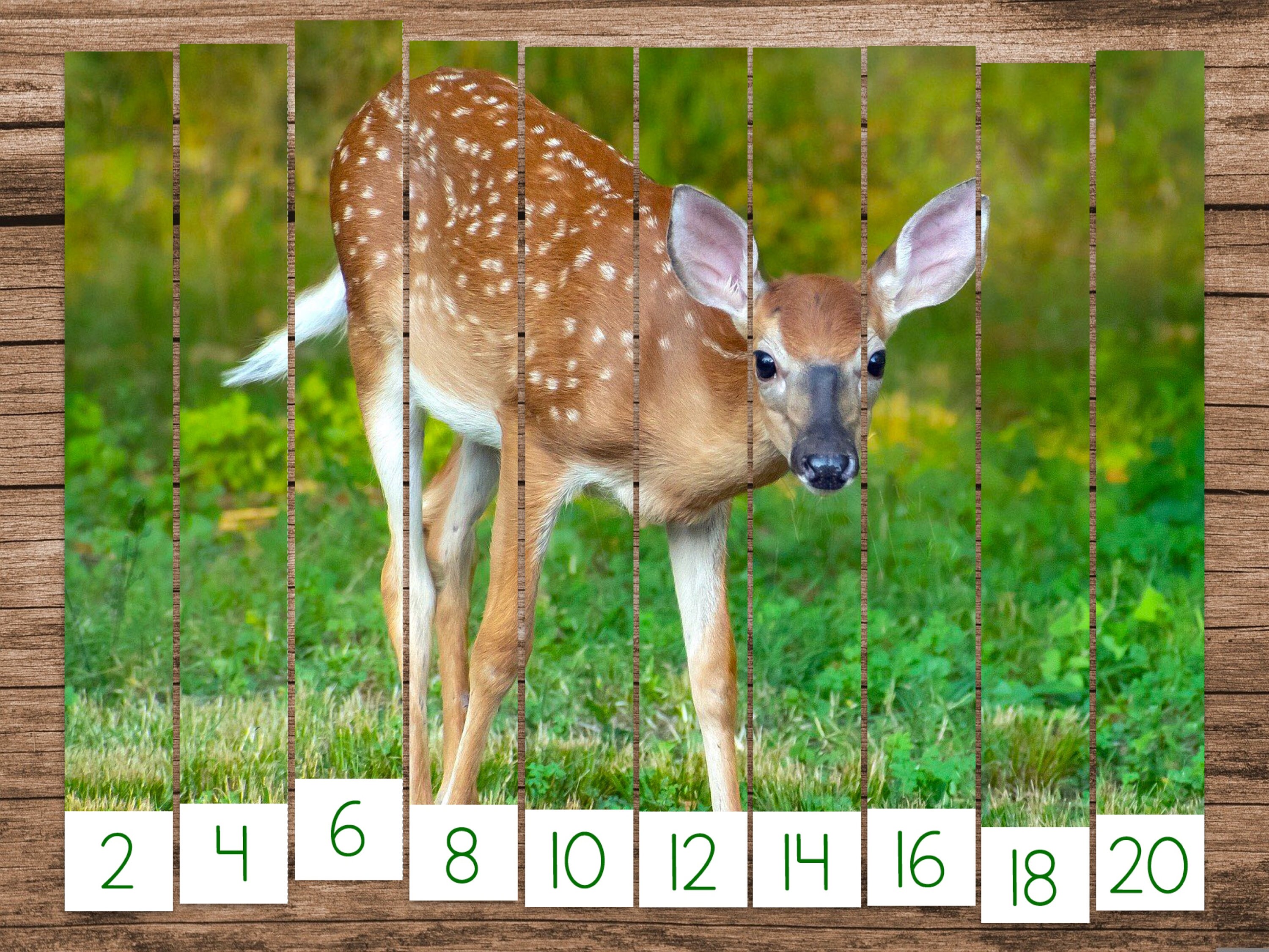 Animal Babies Spring Skip Counting Puzzles (montessori Math Printable ...