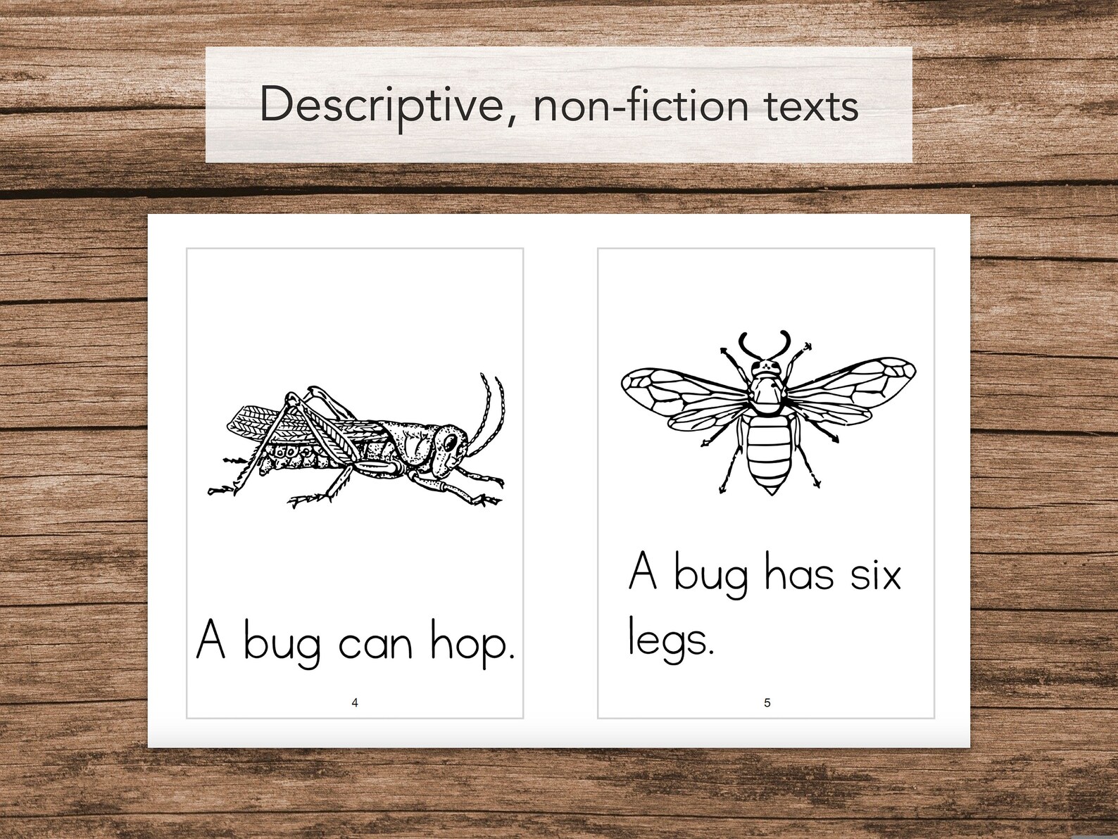 Pink Series Color-me Readers montessori Decodable Reading - Etsy