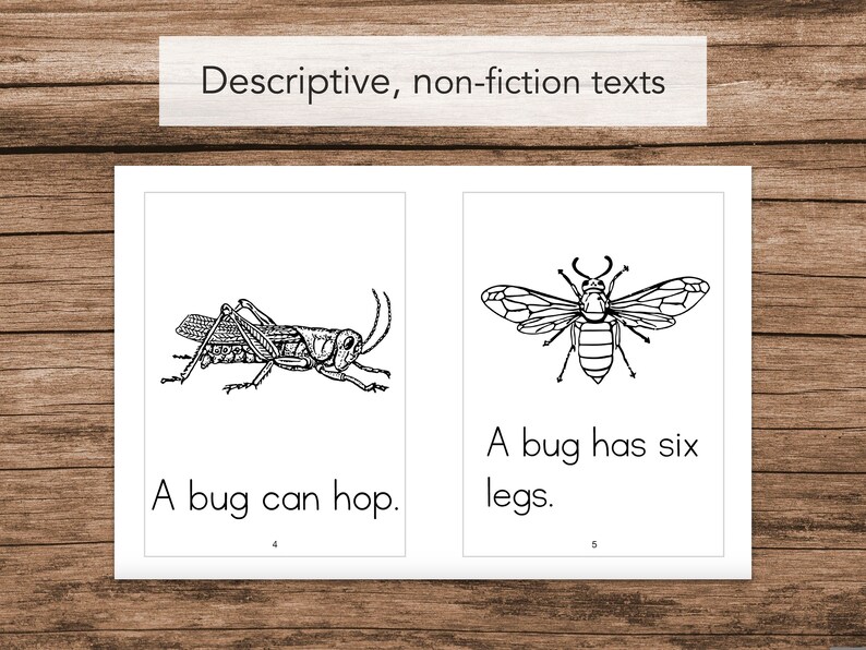 Pink Series Color-me Readers montessori Decodable Reading - Etsy