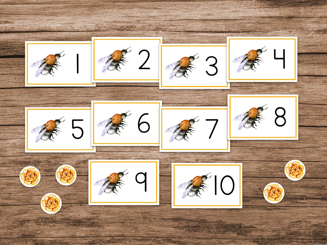 Bees & Flowers Numbers and Counters Activity montessori Preschool Math ...