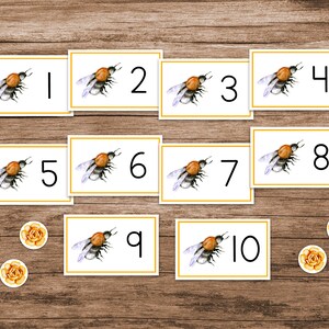 Bees & Flowers Numbers and Counters Activity (montessori Preschool Math ...