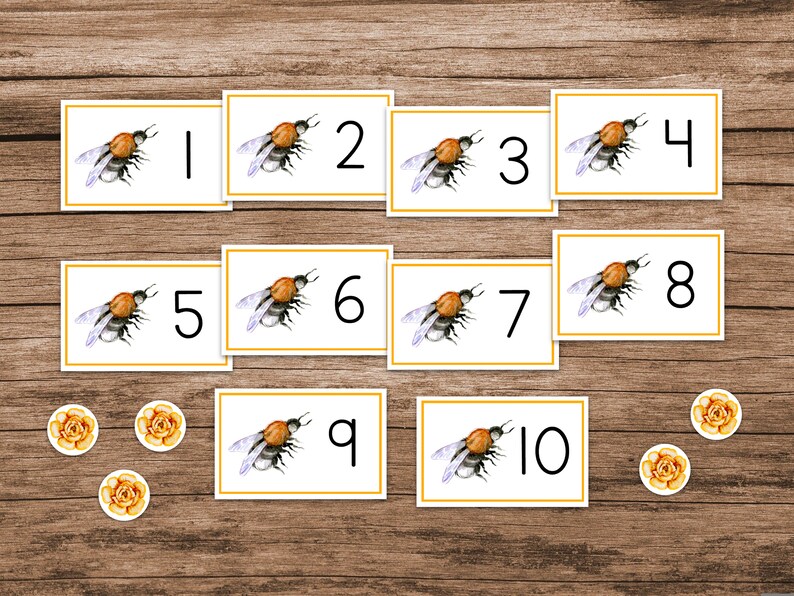 Bees & Flowers Numbers and Counters Activity (montessori Preschool Math ...