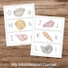 Summer Seashell Alphabet Uppercase Lowercase Matching Puzzle Cards ...