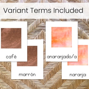 SPANISH Fall Colors Activity (montessori Sorting Cards) - Etsy