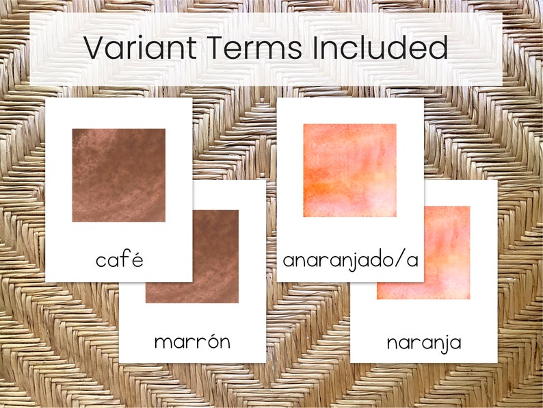 SPANISH Fall Colors Activity (montessori Sorting Cards) - Etsy