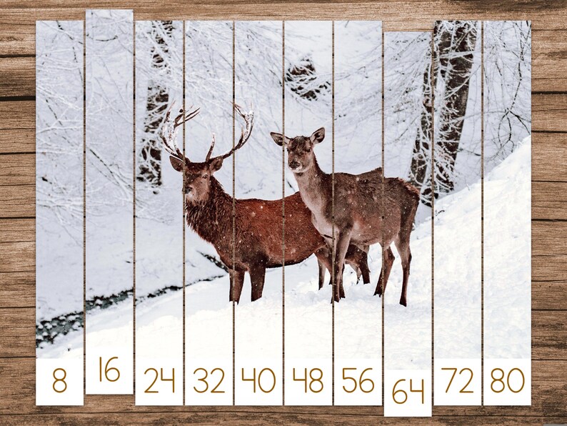 Winter Forest Skip Counting Puzzles (montessori Math Printable) - Etsy