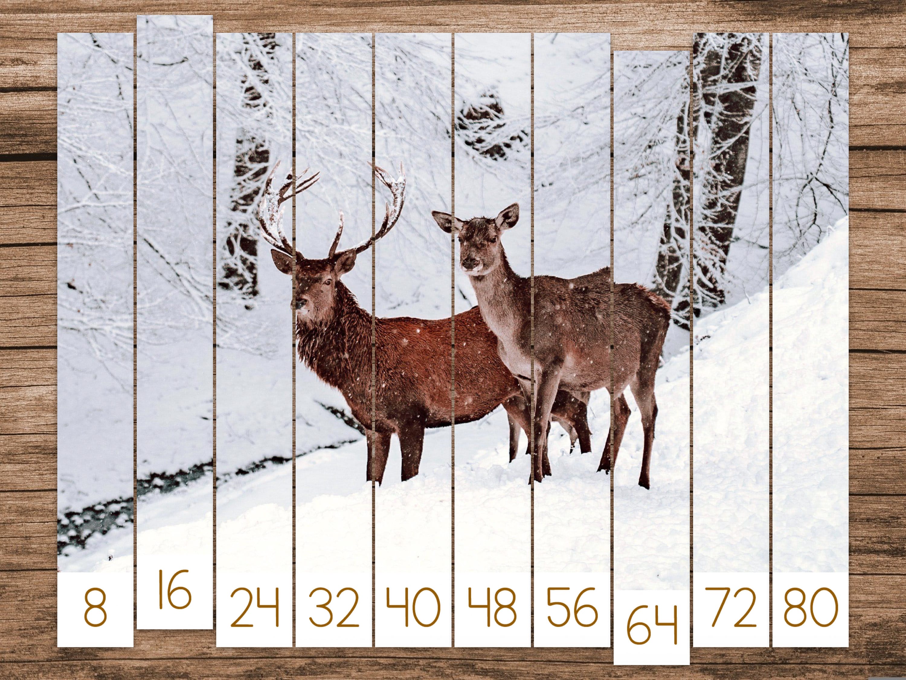 Winter Forest Skip Counting Puzzles (montessori Math Printable) - Etsy