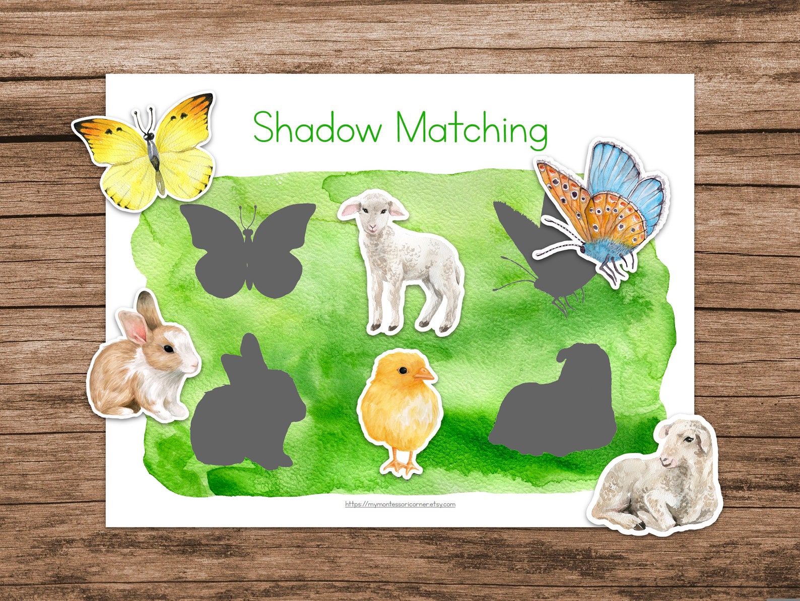 Spring Busy Binder Preschool Matching Activities Printable - Etsy
