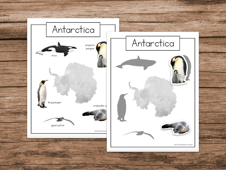Animals of the Continents Shadow Matching, Sorting, and Posters, Real ...