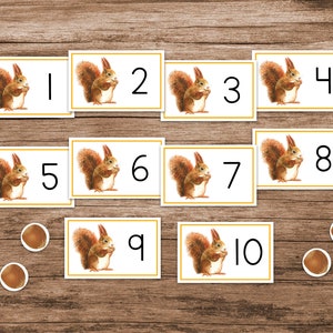 Fall Squirrels Number and Counting Cards Activity (montessori Preschool ...