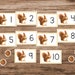 Fall Squirrels Number and Counting Cards Activity (montessori Preschool ...