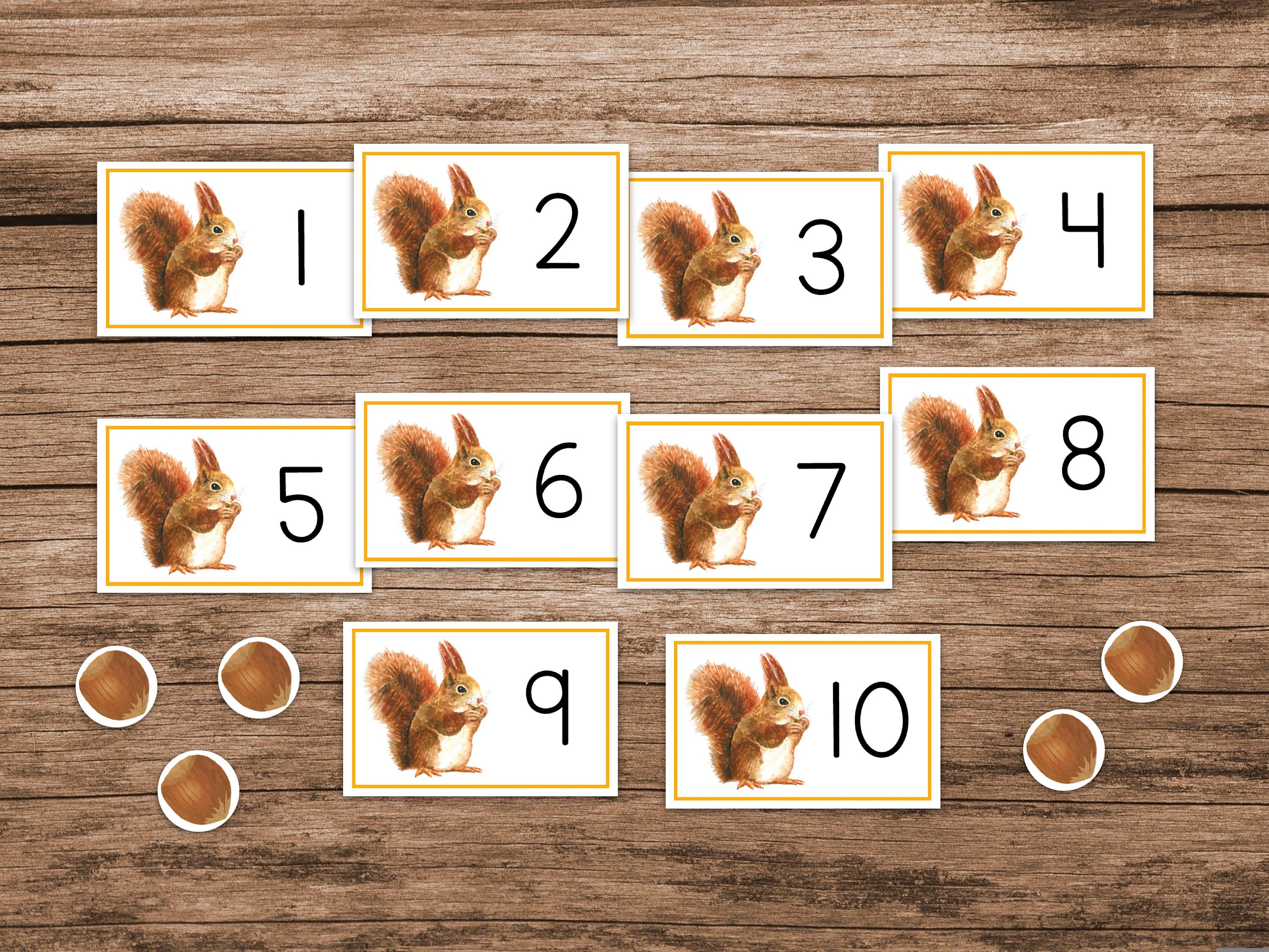 Fall Squirrels Number and Counting Cards Activity (montessori Preschool ...