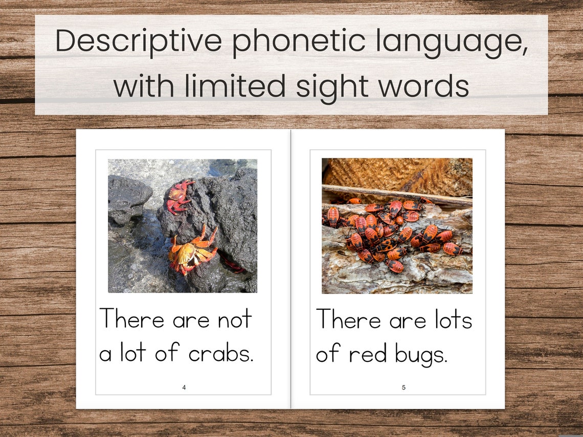 Blue Series Readers Set 2 (montessori Phonics Books, Consonant Blends ...