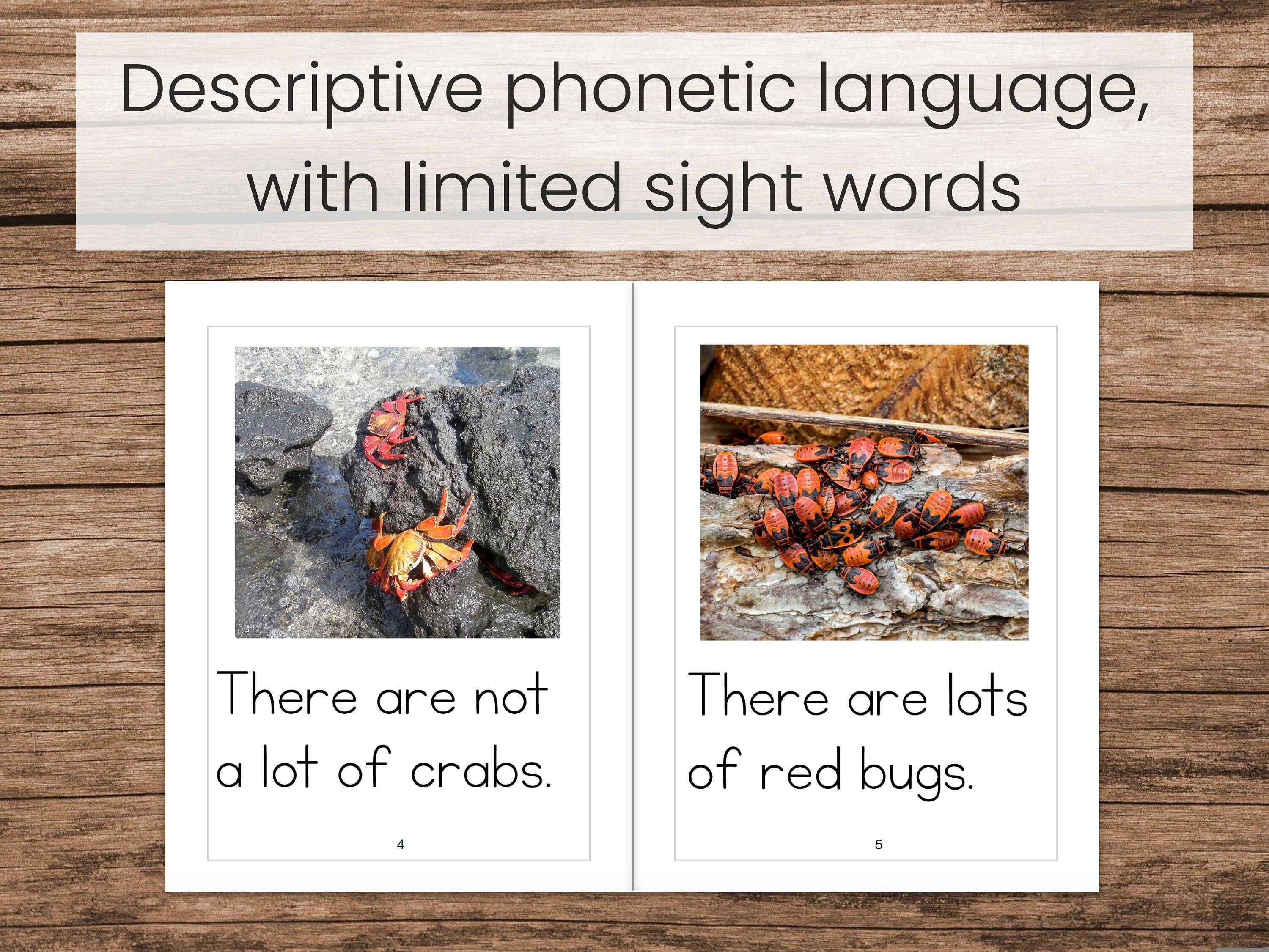 Blue Series Readers Set 2 (montessori Phonics Books, Consonant Blends ...