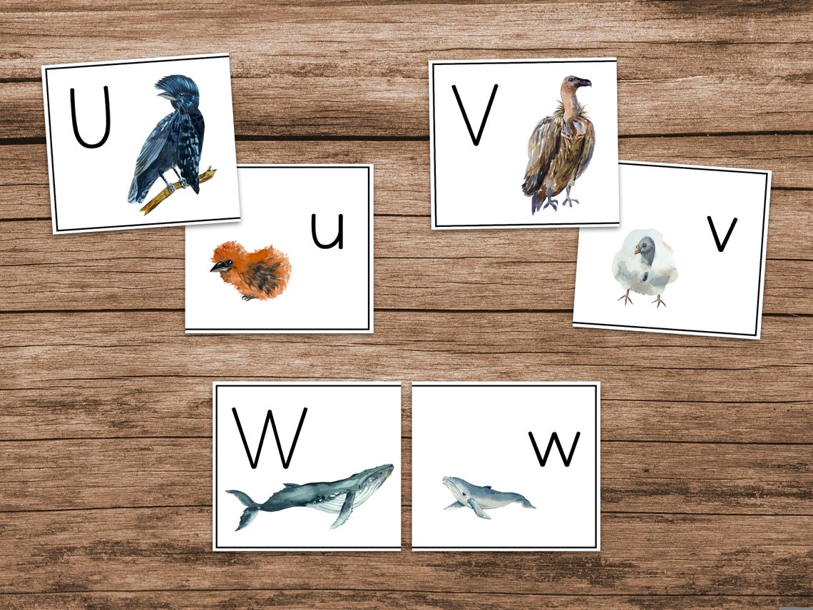 Uppercase-lowercase Alphabet Matching Cards, Mother and Baby Animals ...
