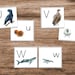 Uppercase-lowercase Alphabet Matching Cards, Mother and Baby Animals ...