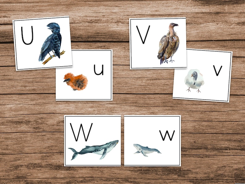 Uppercase-lowercase Alphabet Matching Cards, Mother and Baby Animals ...