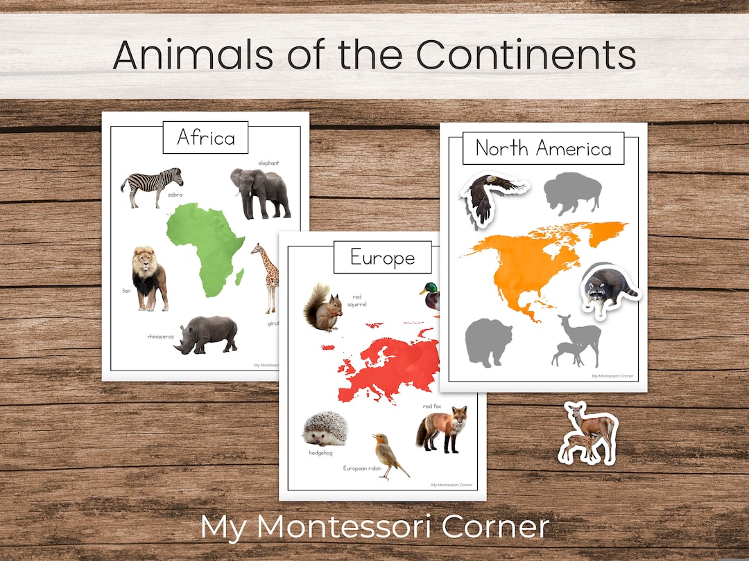 Animals of the Continents Shadow Matching, Sorting, and Posters, Real ...
