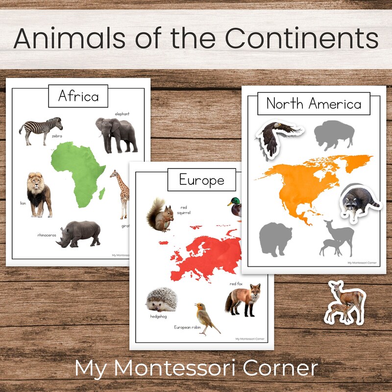 Real Animals Poster - Etsy