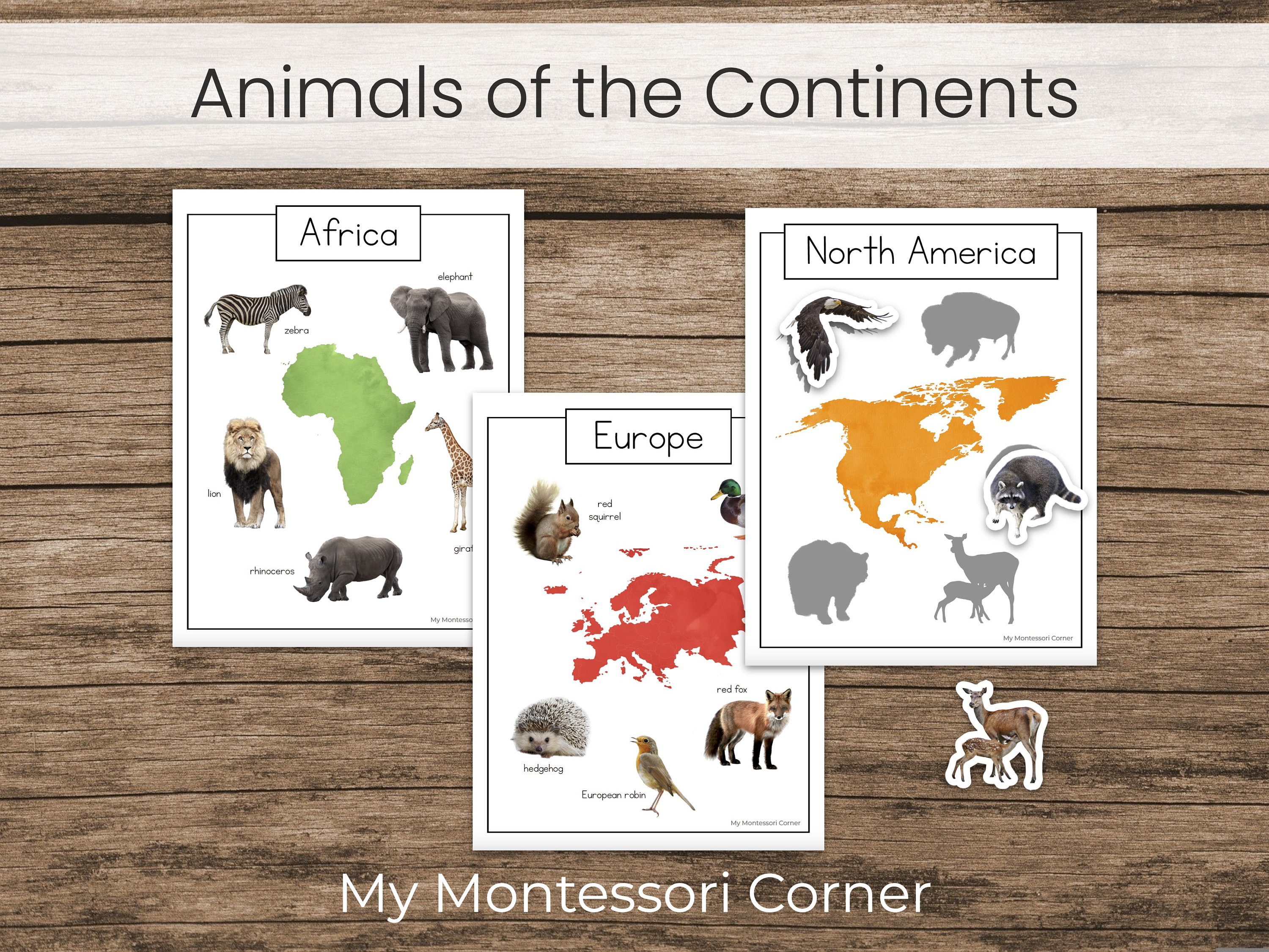 Animals of the Continents Shadow Matching, Sorting, and Posters, Real ...