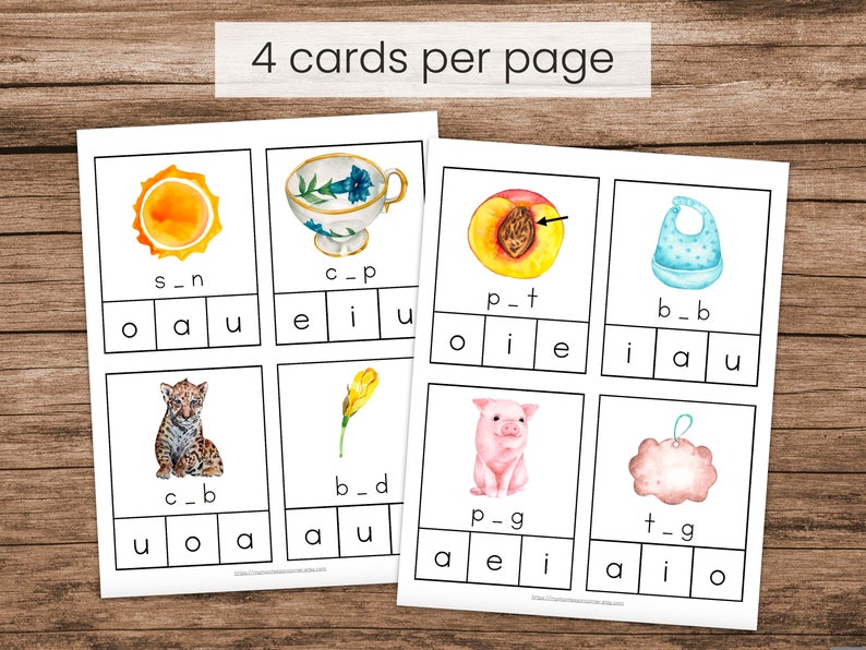 CVC Vowel Sounds Clip Cards (montessori Pink Series Phonics Printable ...