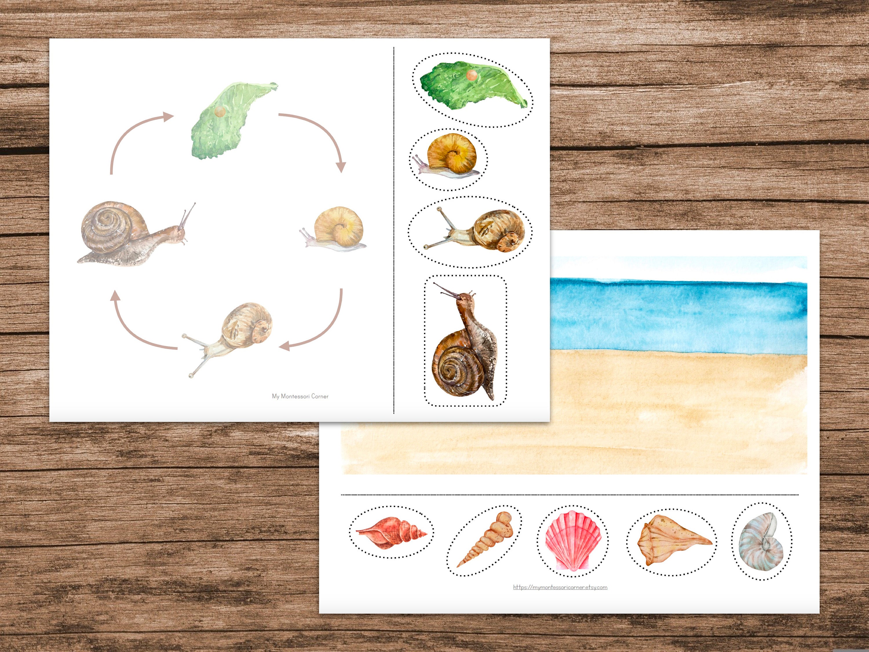 Summer Cut and Paste Activity Pack (preschool Fine Motor Printables) - Etsy