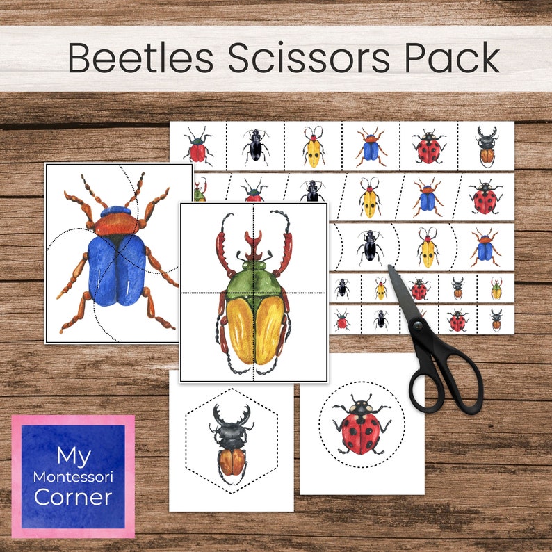Beetle Scissors Strips and Puzzles (insects Fine Motor Activity ...