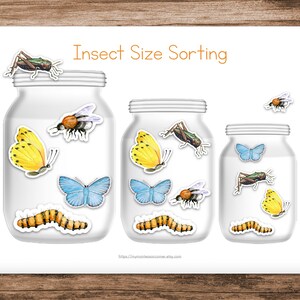 Spring Preschool Activity Bundle (montessori Printable Materials) - Etsy