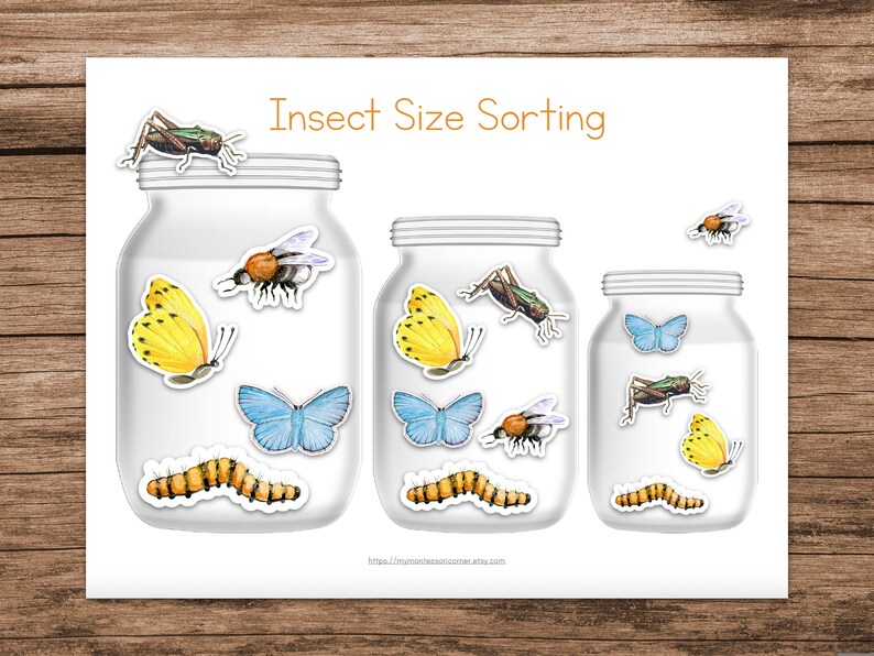 Spring Preschool Activity Bundle montessori Printable - Etsy