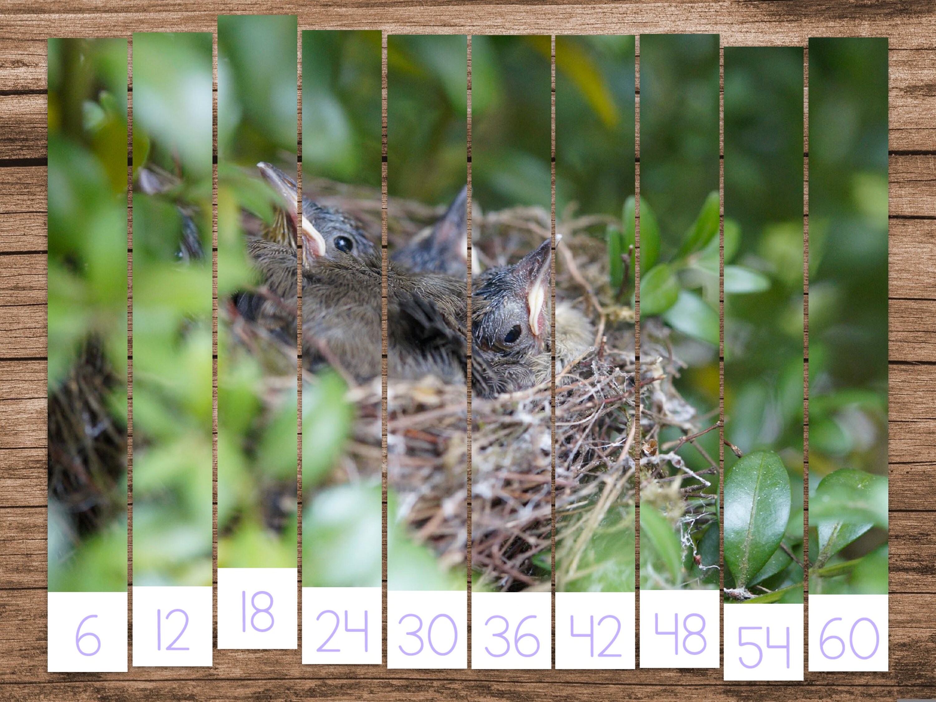 Animal Babies Spring Skip Counting Puzzles montessori Math Printable - Etsy