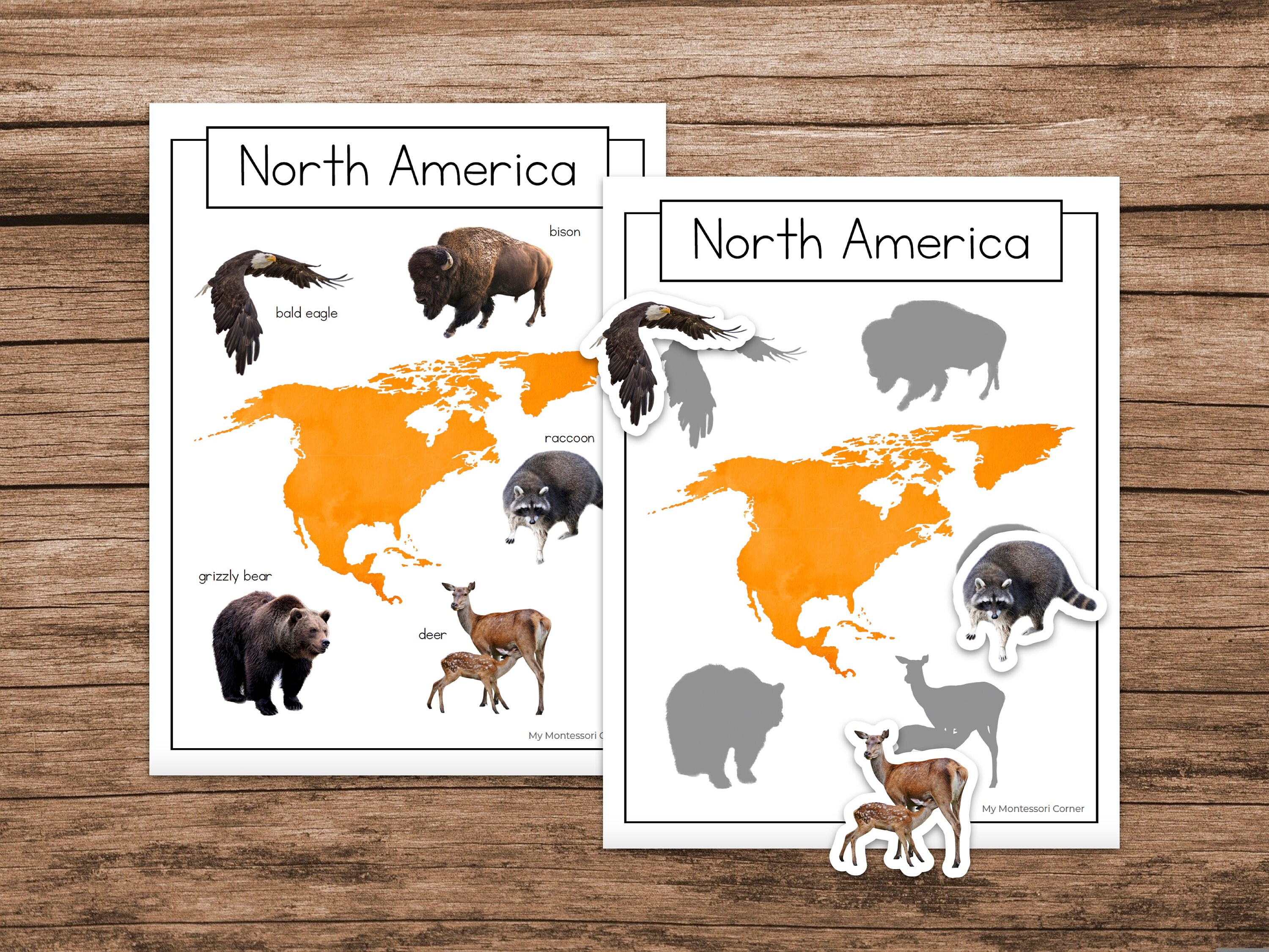 Animals of the Continents Shadow Matching, Sorting, and Posters, Real ...