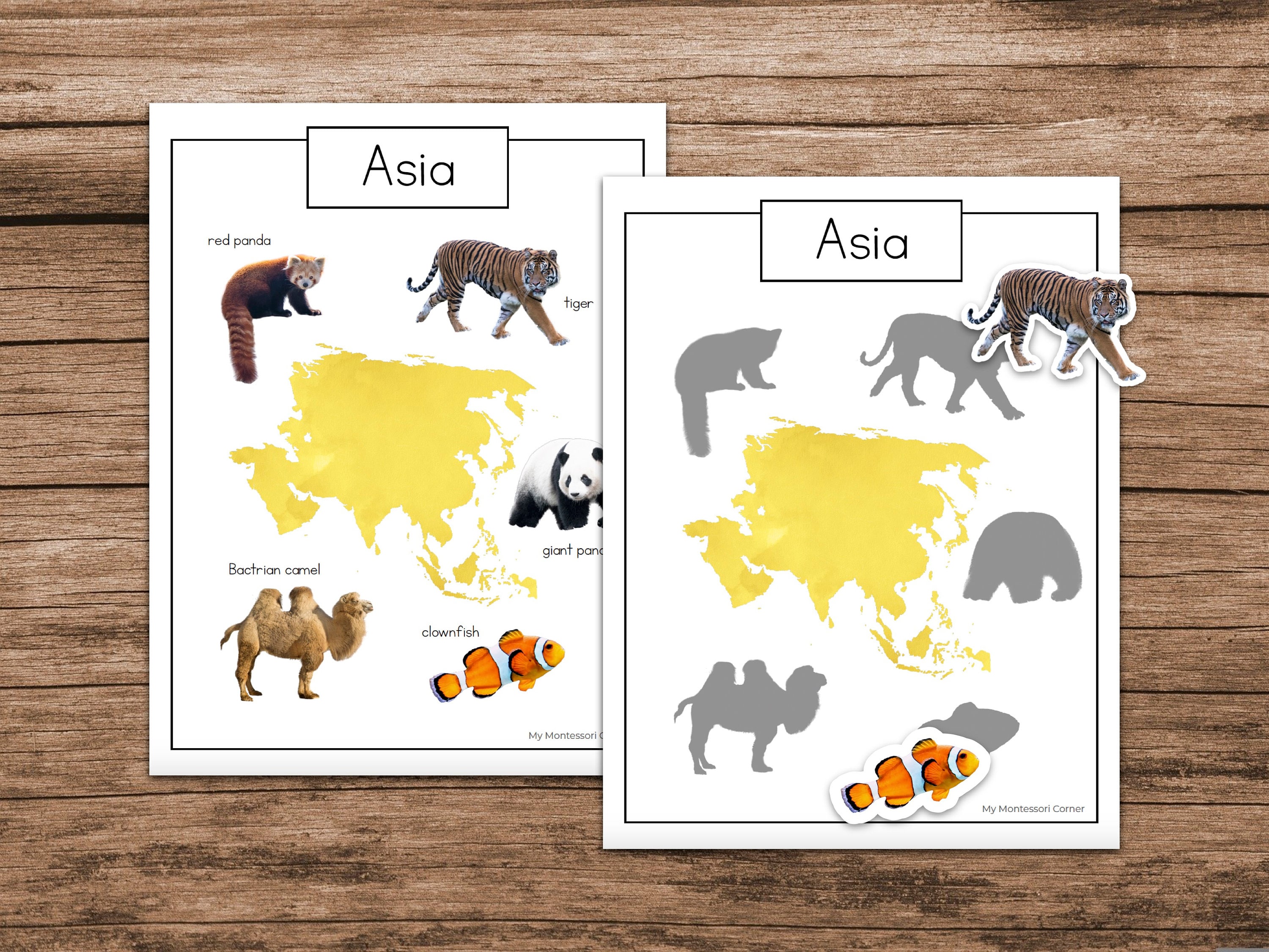 Animals of the Continents Shadow Matching, Sorting, and Posters, Real ...