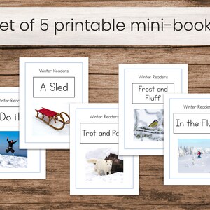 Winter Blue Series Readers (montessori Decodable Books) - Etsy