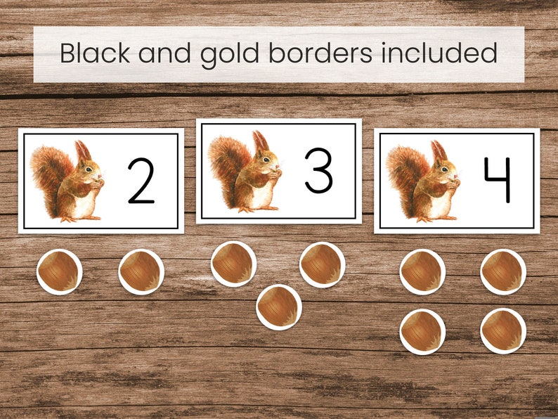 Fall Squirrels Number and Counting Cards Activity (montessori Preschool ...