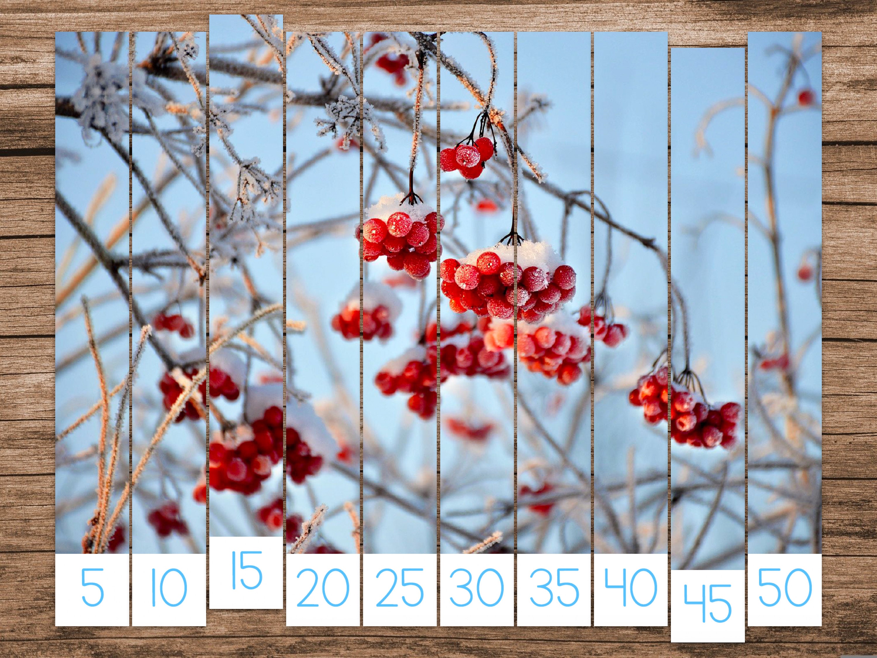 Winter Forest Skip Counting Puzzles (montessori Math Printable) - Etsy